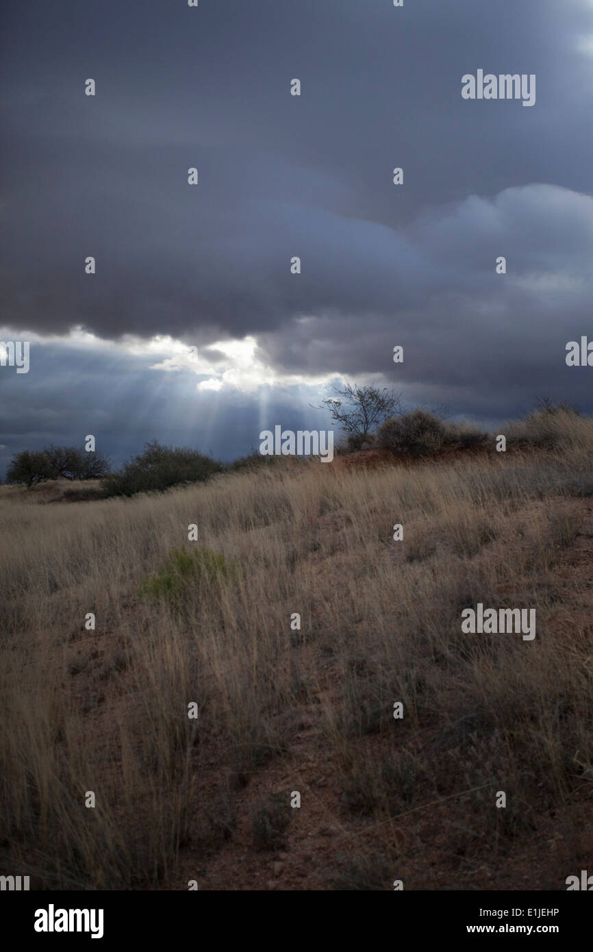Scrubland hi-res stock photography and images - Alamy