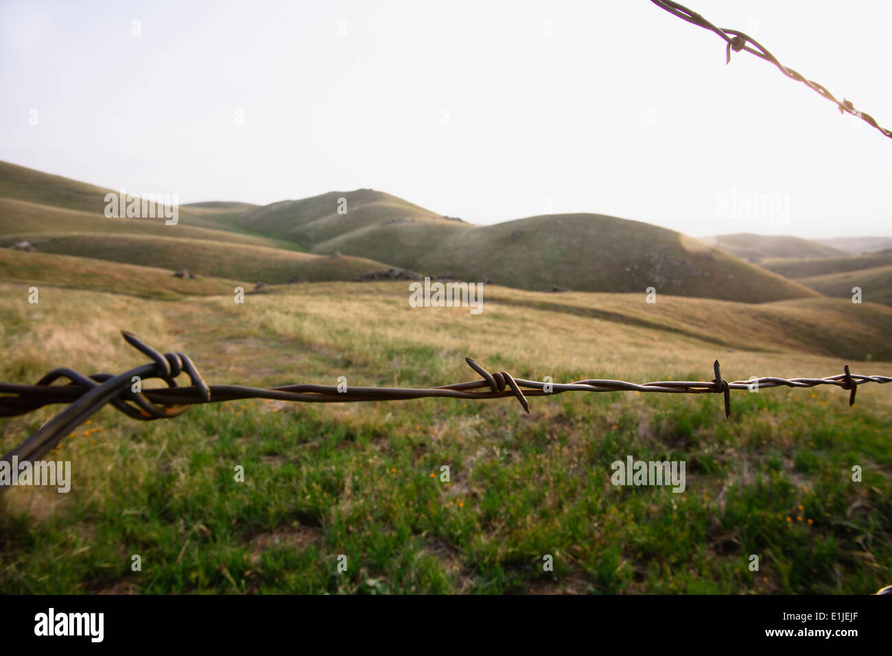 Wire landscape hi-res stock photography and images - Alamy