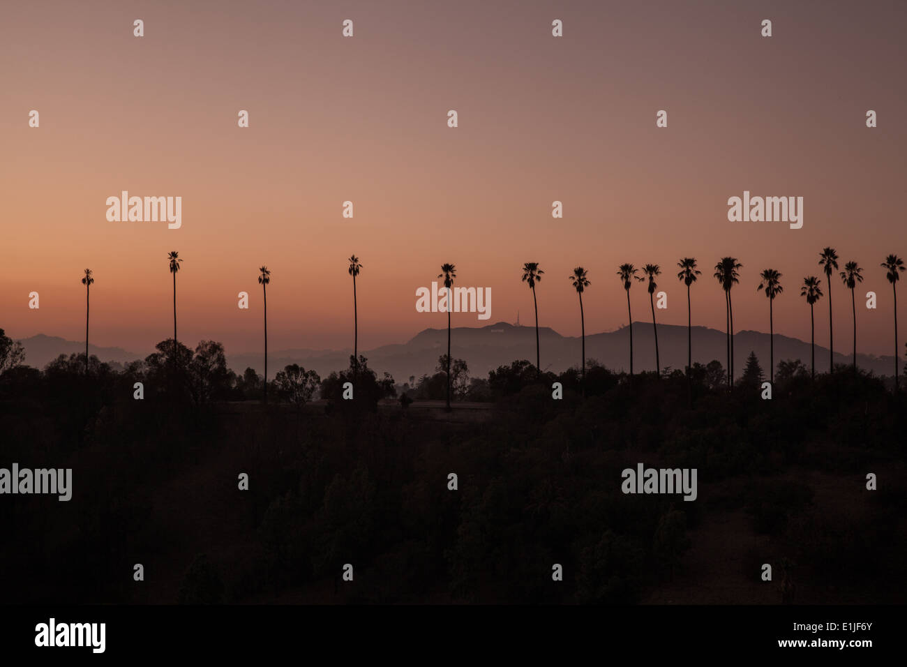 Elysian park los angeles hi-res stock photography and images - Alamy