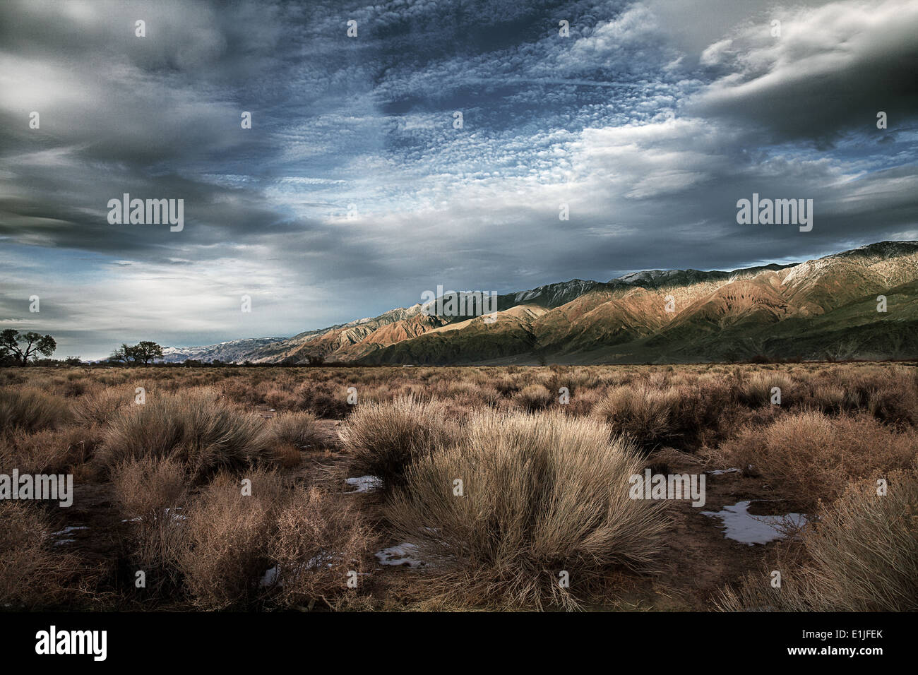 Jason moskowitz Stock Photos & Images from Alamy