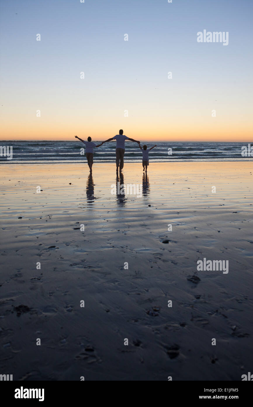 Father Sons On Beach High Resolution Stock Photography and Images - Alamy
