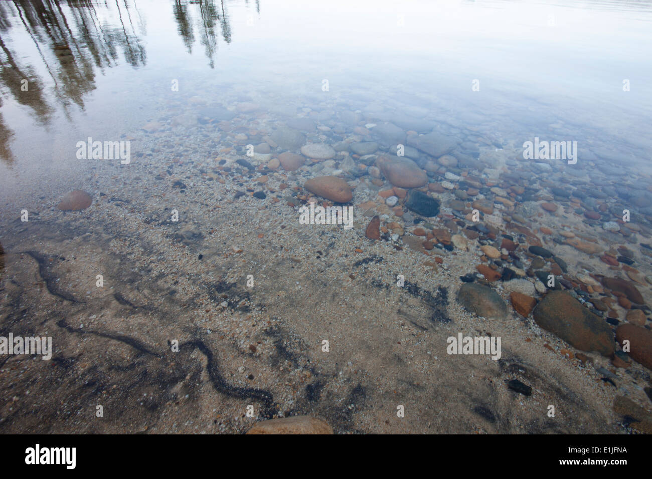 Shallow water lake hi-res stock photography and images - Alamy