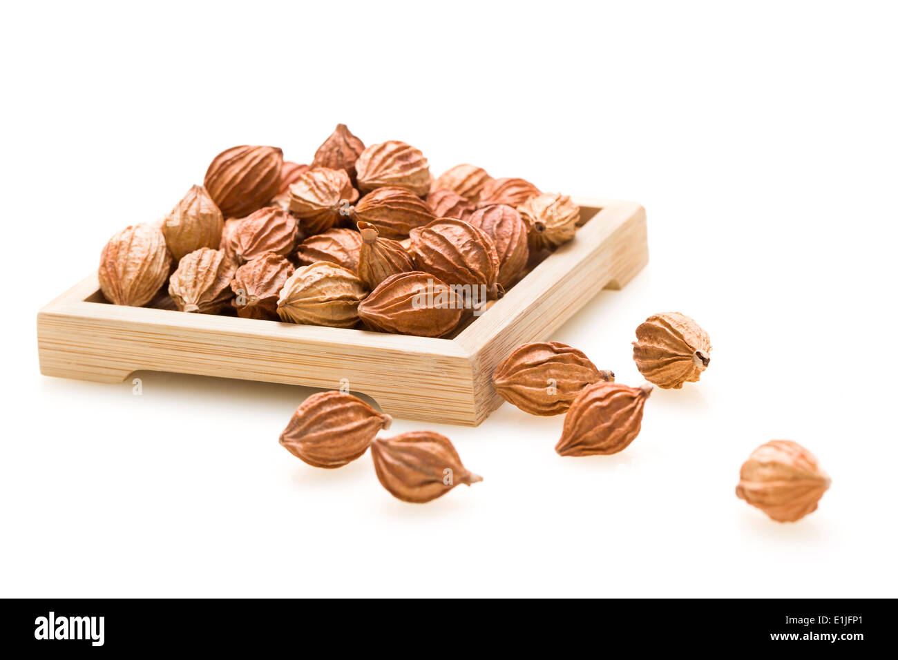 Traditional Chinese medicine amomum villosum Stock Photo - Alamy