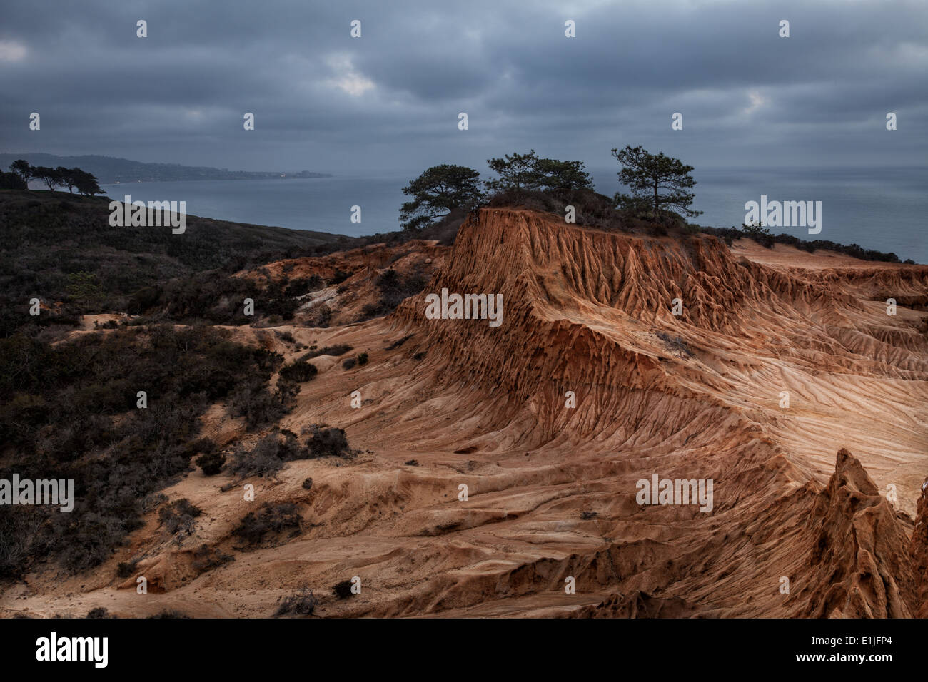 Broken Hill Torrey Pines State Reserve, California Stock Photo - Alamy