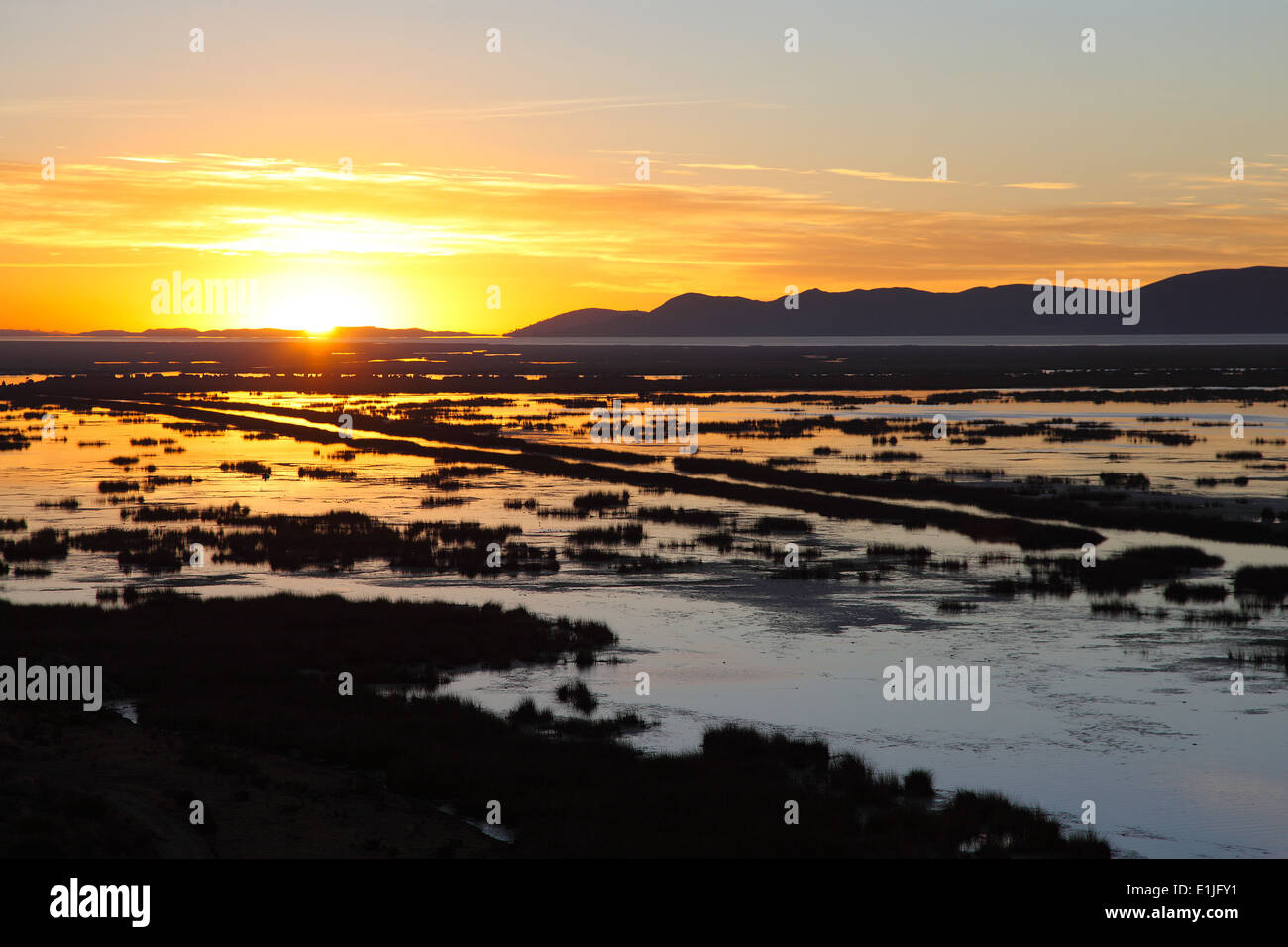 Lake Titicaca Puno Peru Stock Photo - Alamy