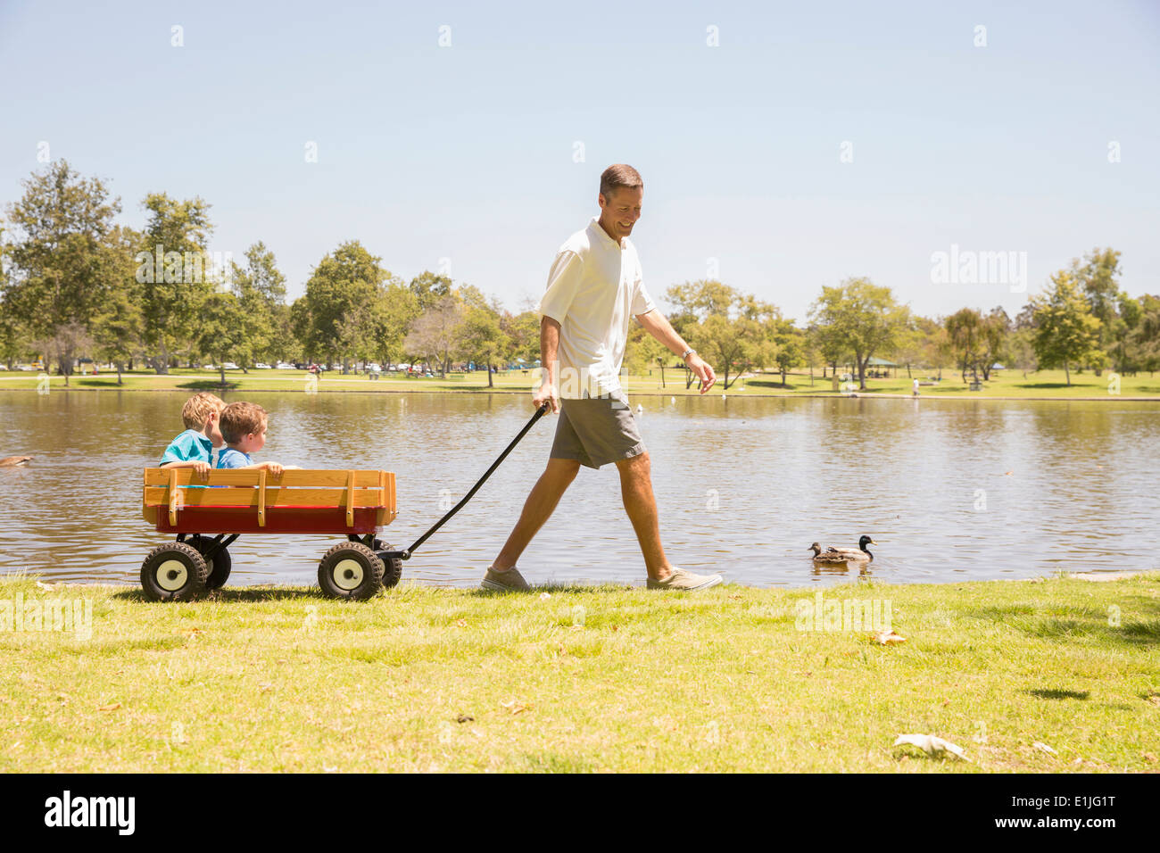 Father pulling wagon with sons inside at lakeside, Newport Beach ...
