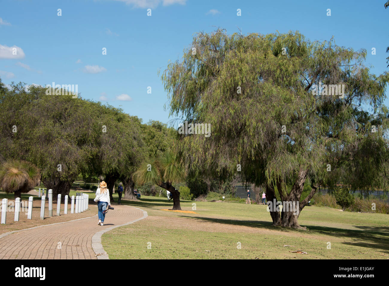 Australia, Western Australia, Perth, Yanchep National Park. Natural ...