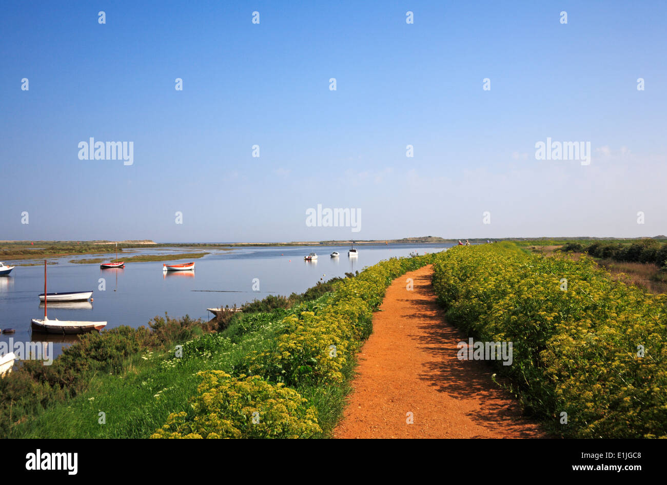 Peddars way path hi-res stock photography and images - Alamy