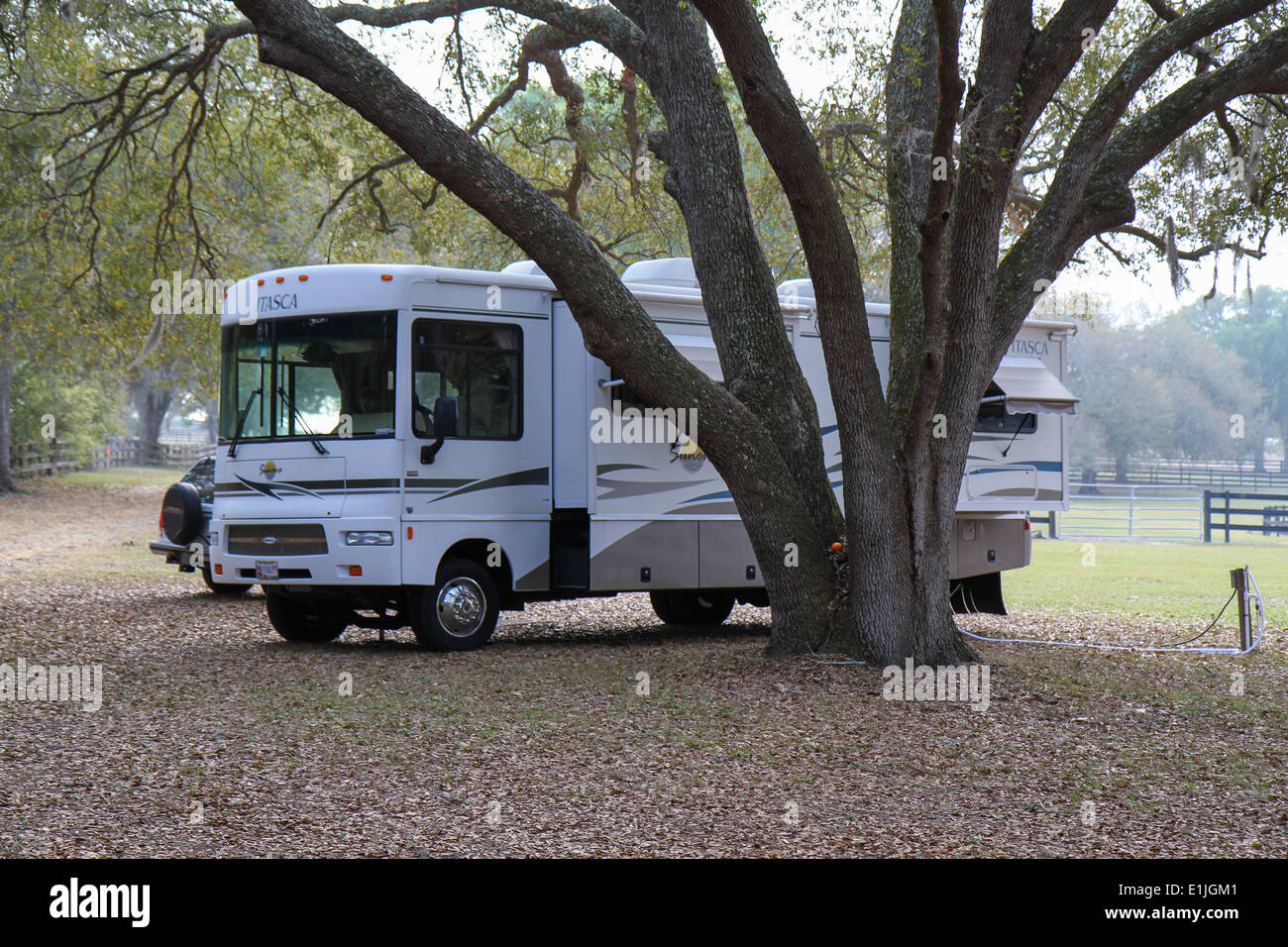 RV site under a live Oak Tree Stock Photo - Alamy