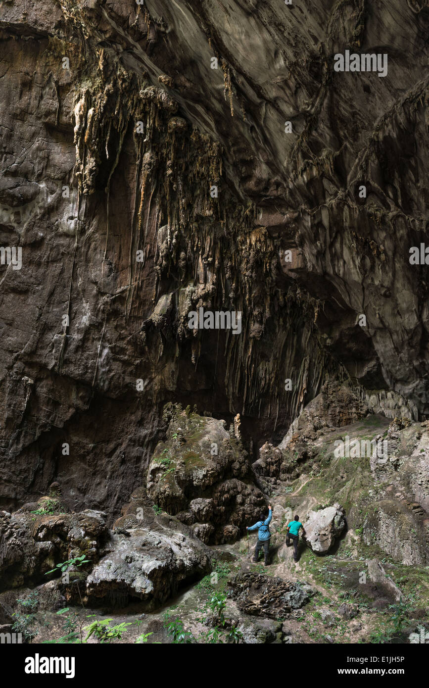 Rainforest exploration hi-res stock photography and images - Alamy