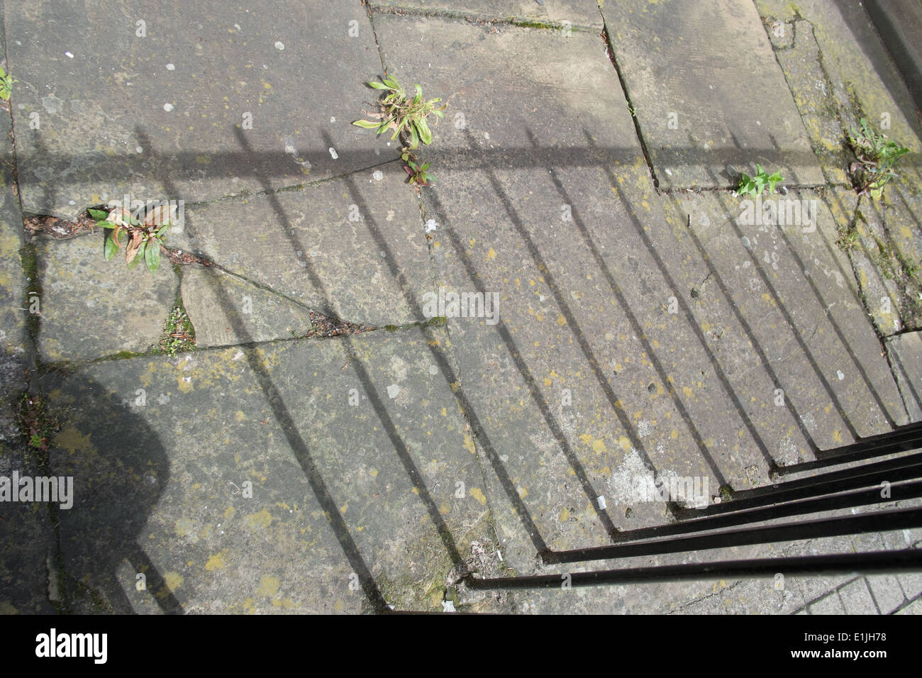 shadow from railings Stock Photo - Alamy