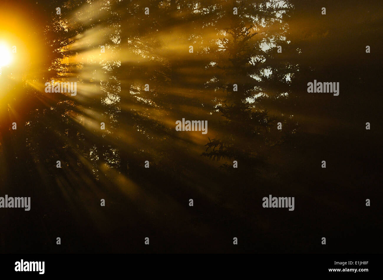 Light beams hi-res stock photography and images - Alamy