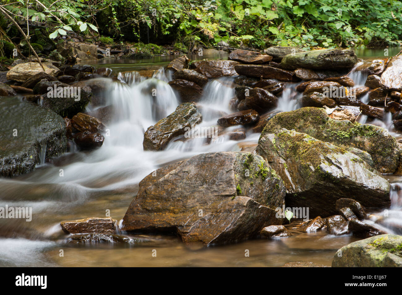Small stream with running water Stock Photo - Alamy