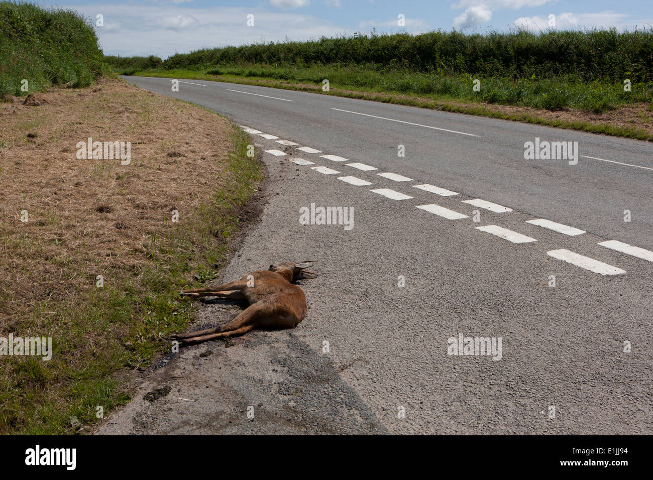 Rotten roads hi-res stock photography and images - Alamy