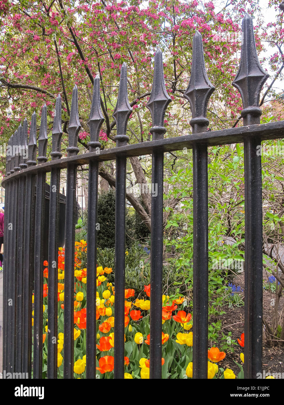 Boundary Fence and Spring Flowers, Gramercy Park, NYC Stock Photo - Alamy