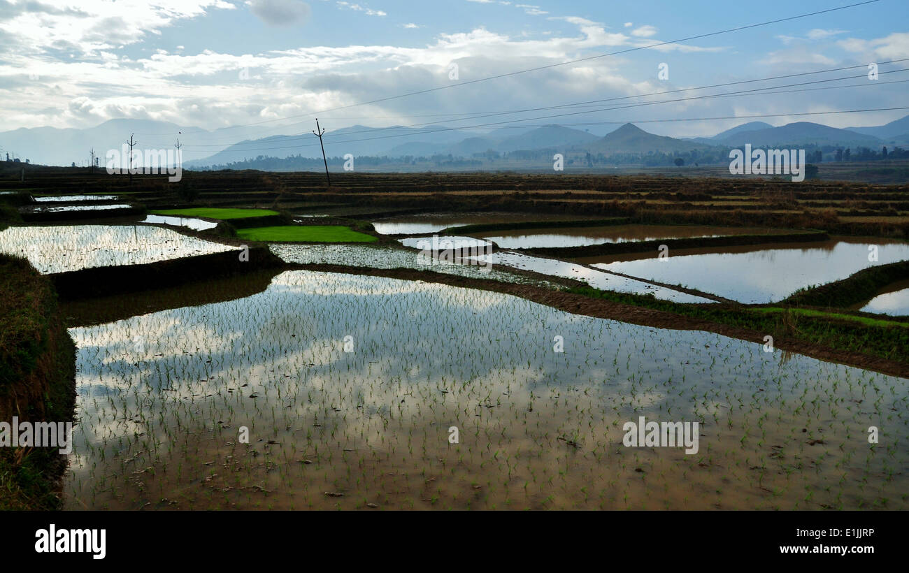 Araku hi-res stock photography and images - Alamy