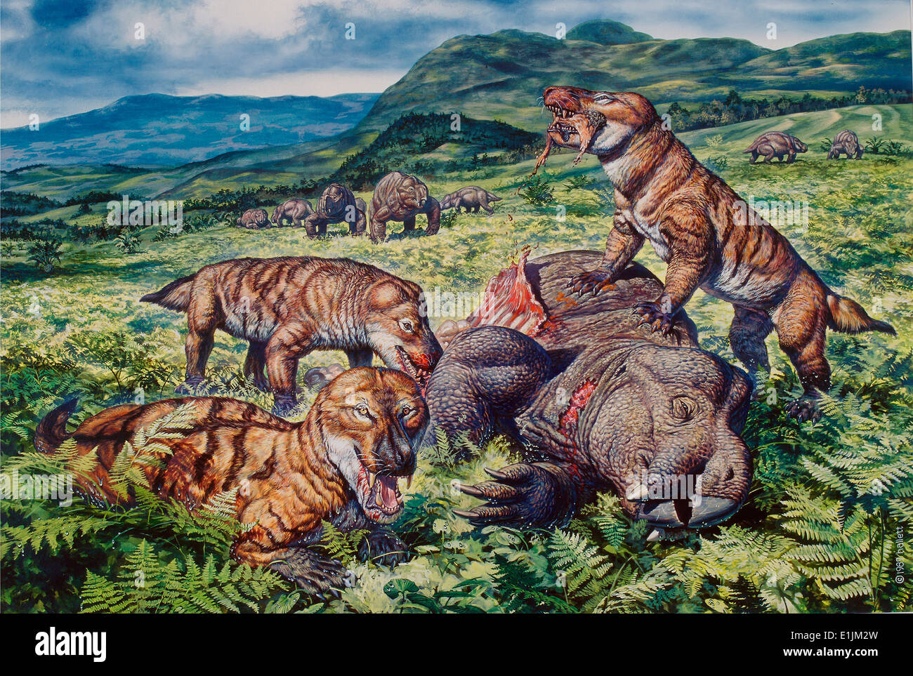 Placerias hi-res stock photography and images - Alamy