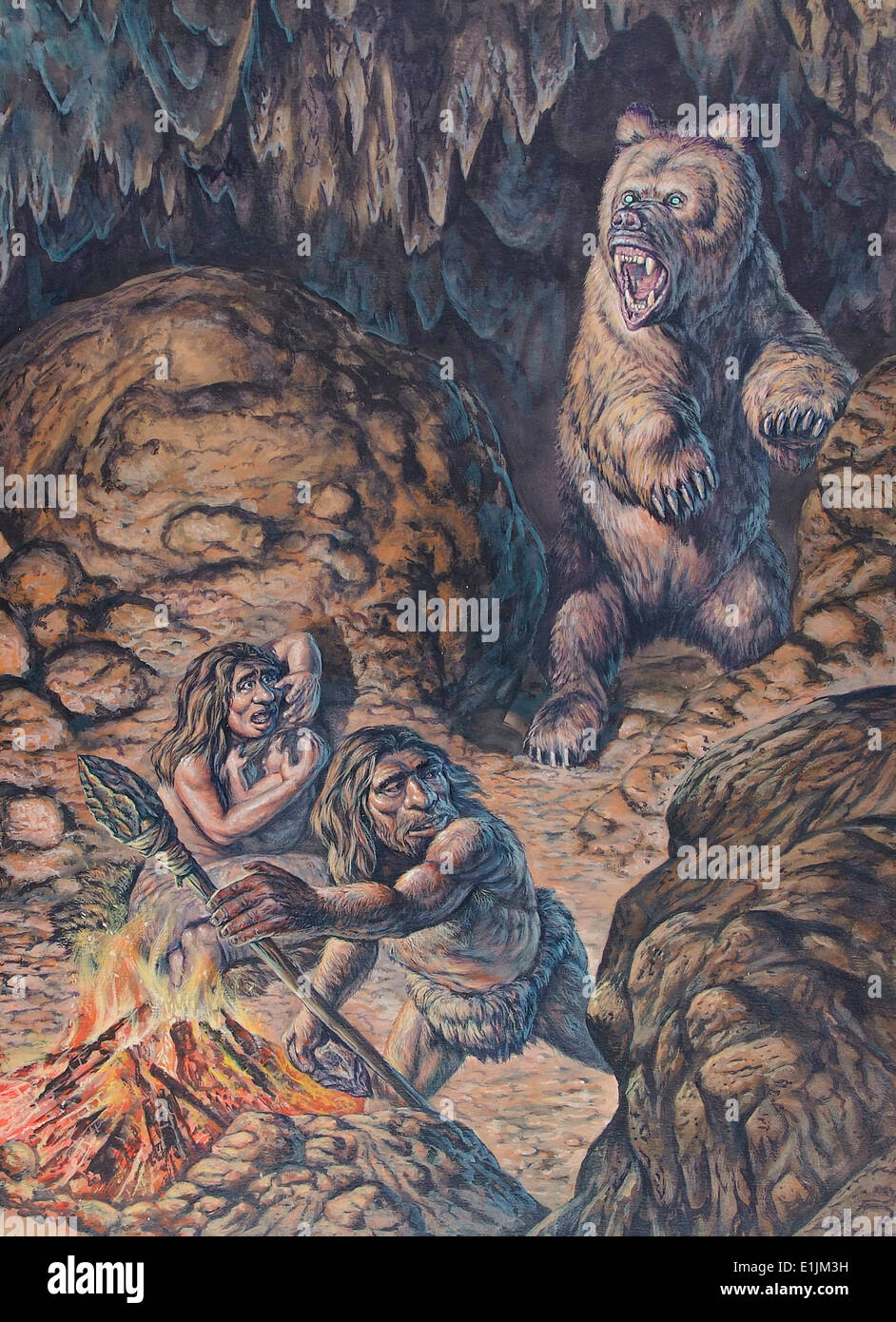 Ice age human bear hi-res stock photography and images - Alamy