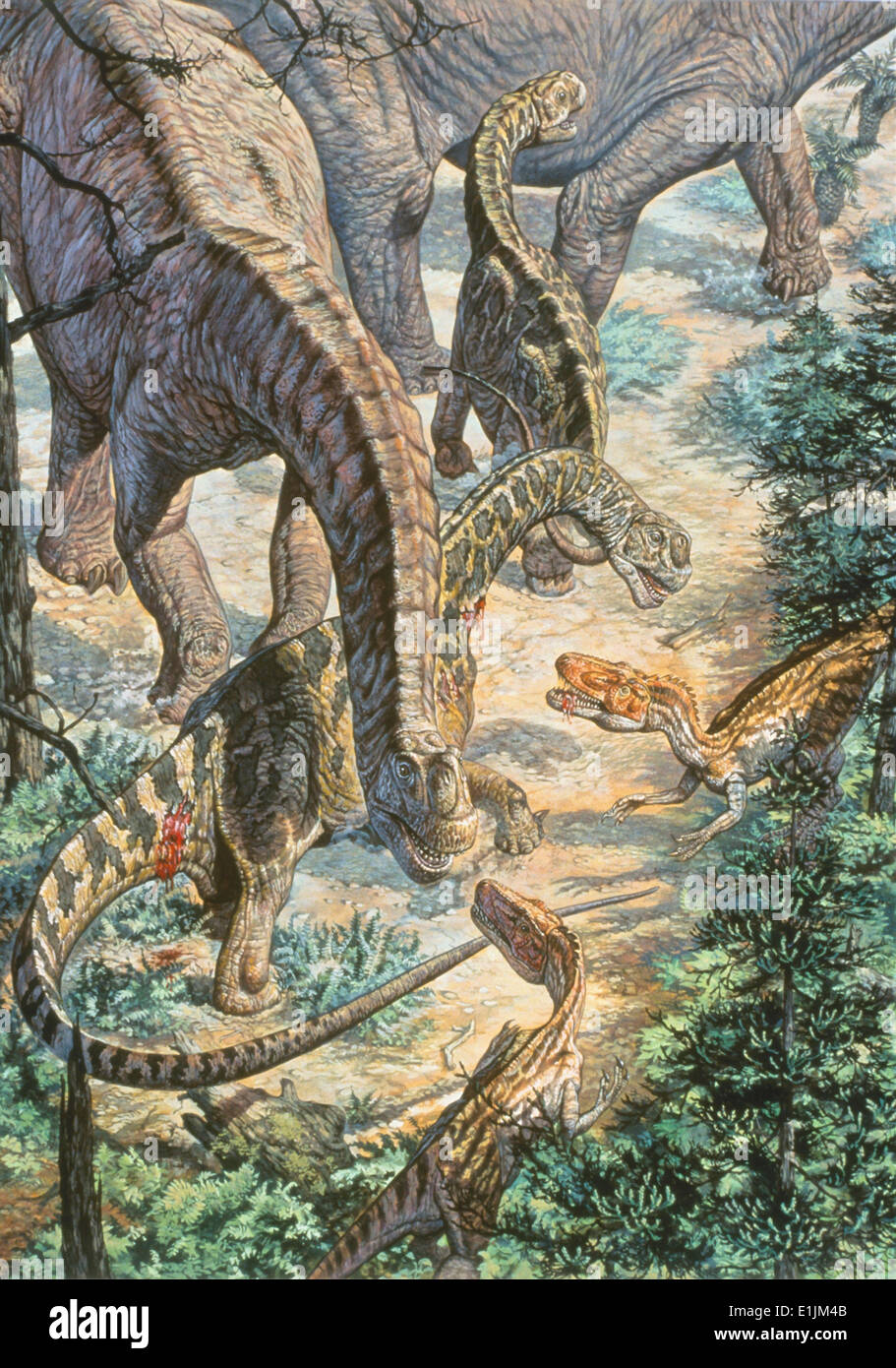Jobaria (sauropods, left) and Afrovenator (raptors, right), Mid ...