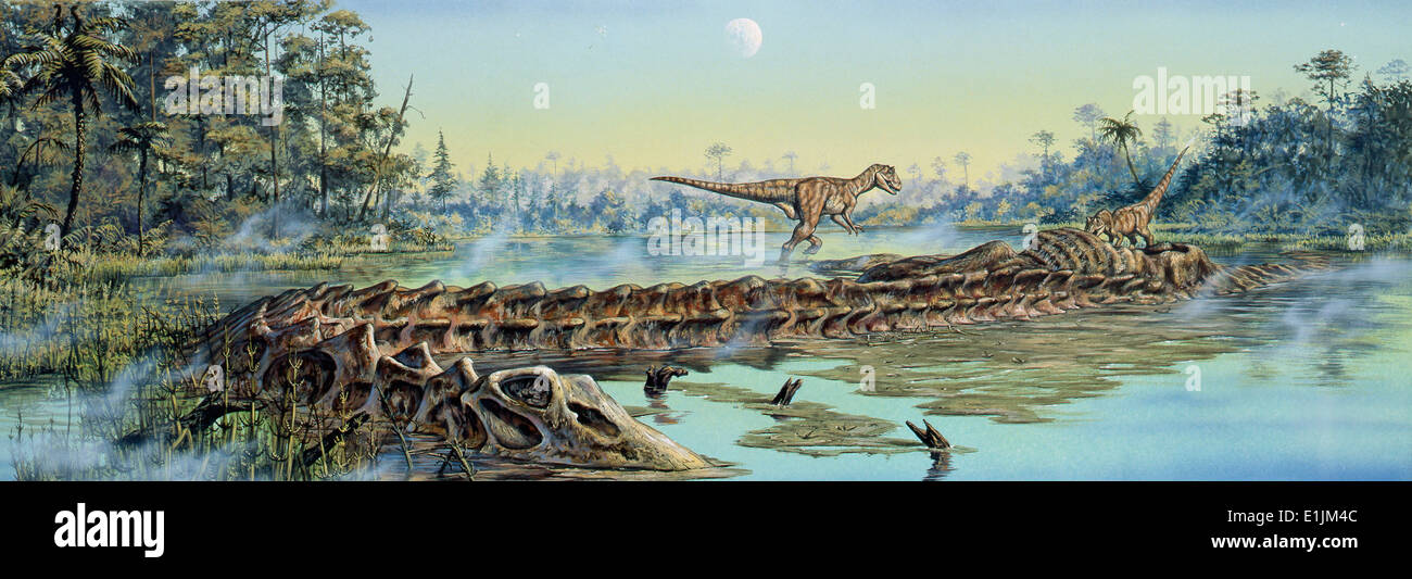 A pair of Allosaurus dinosaurs explore the remains of a Diplodocus ...