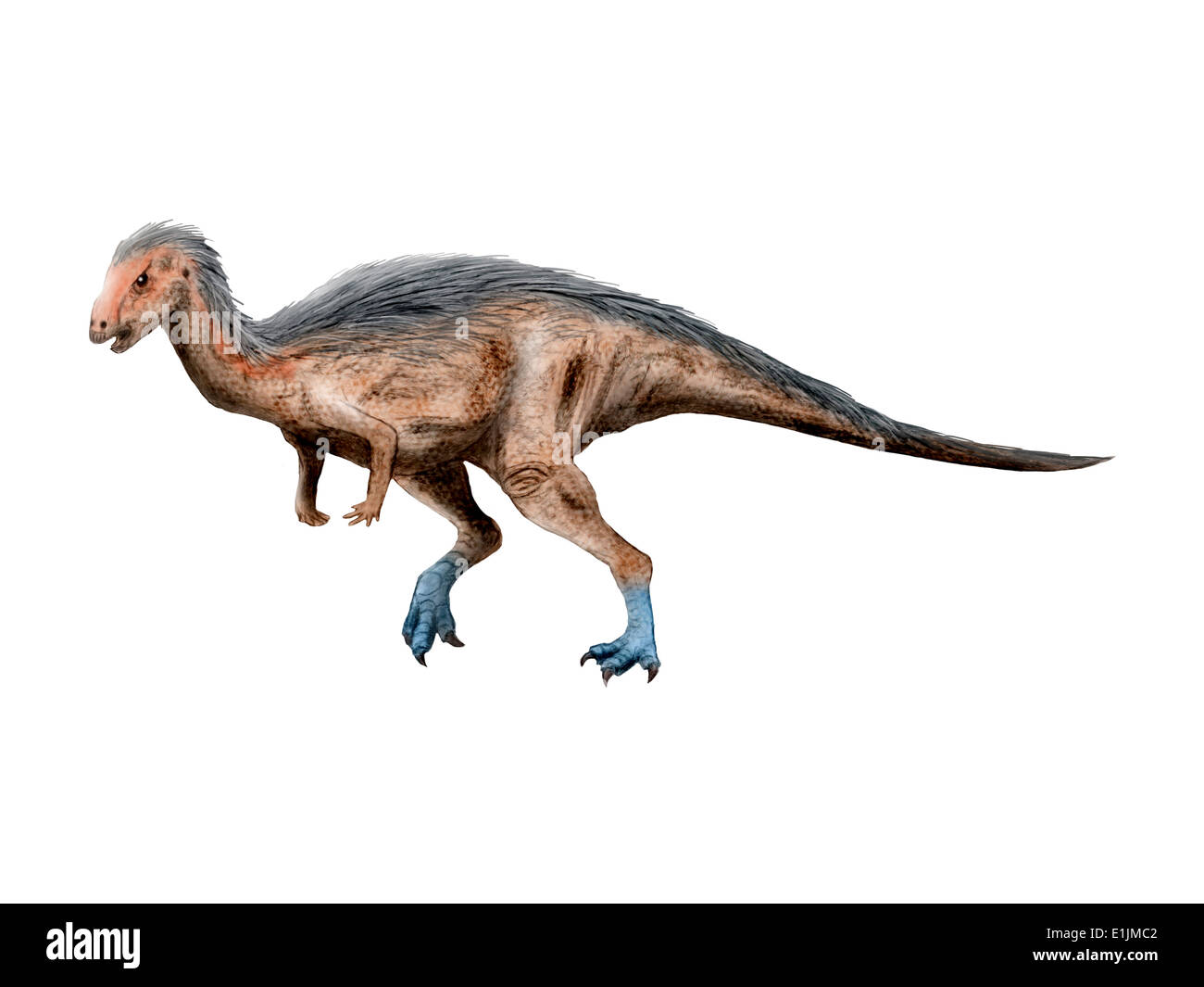 Dryosaurus dinosaur, white background Stock Photo - Alamy