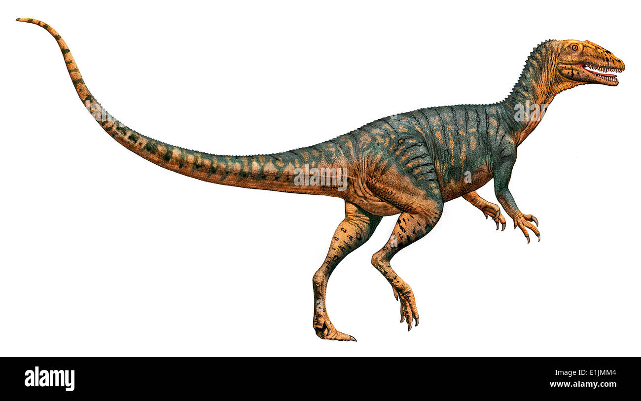 Gojirasaurus Skeleton