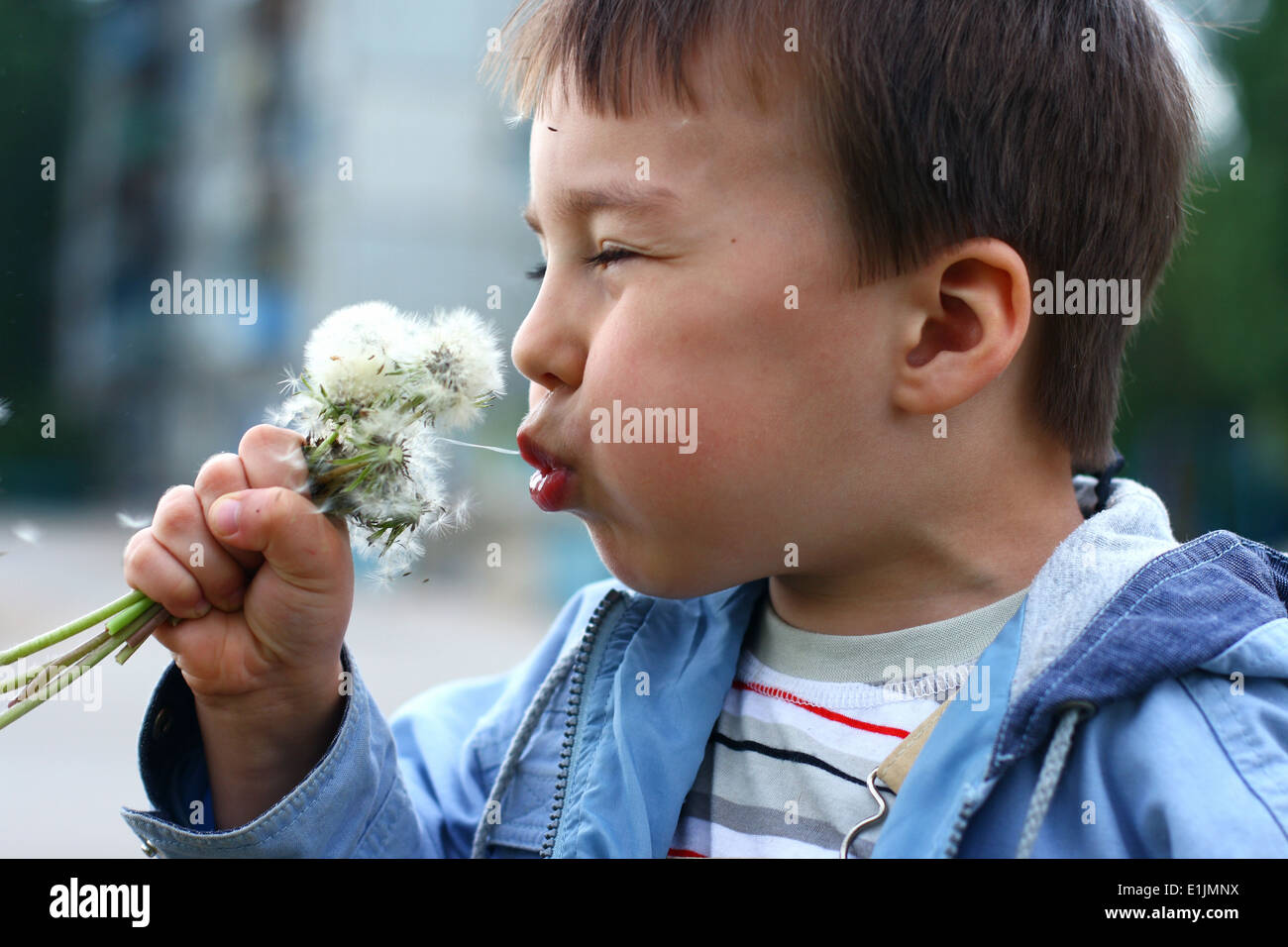 Blowing strongly hi-res stock photography and images - Alamy