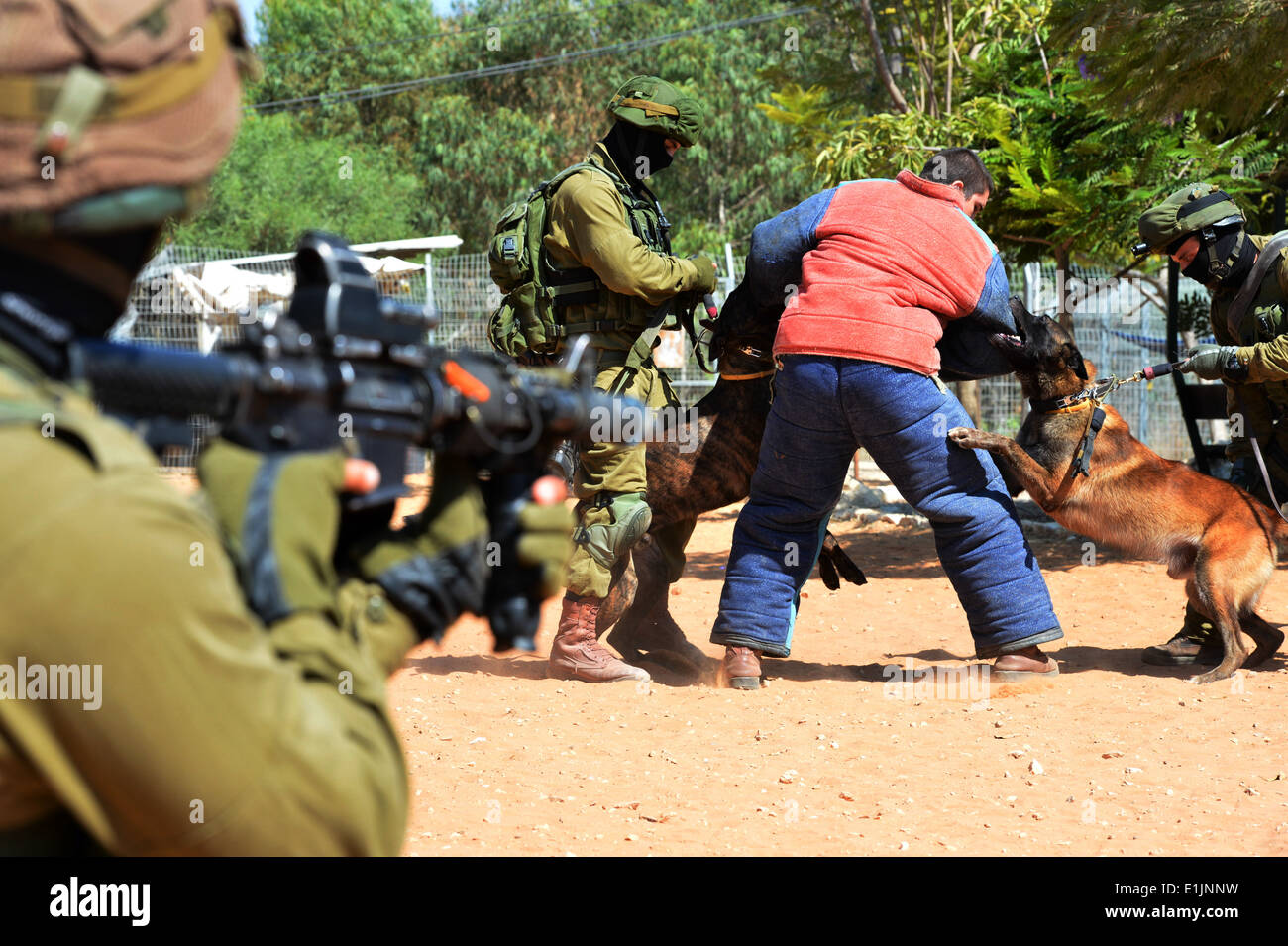 Members of the Israel Defense Force demonstrate their dog-handling ...