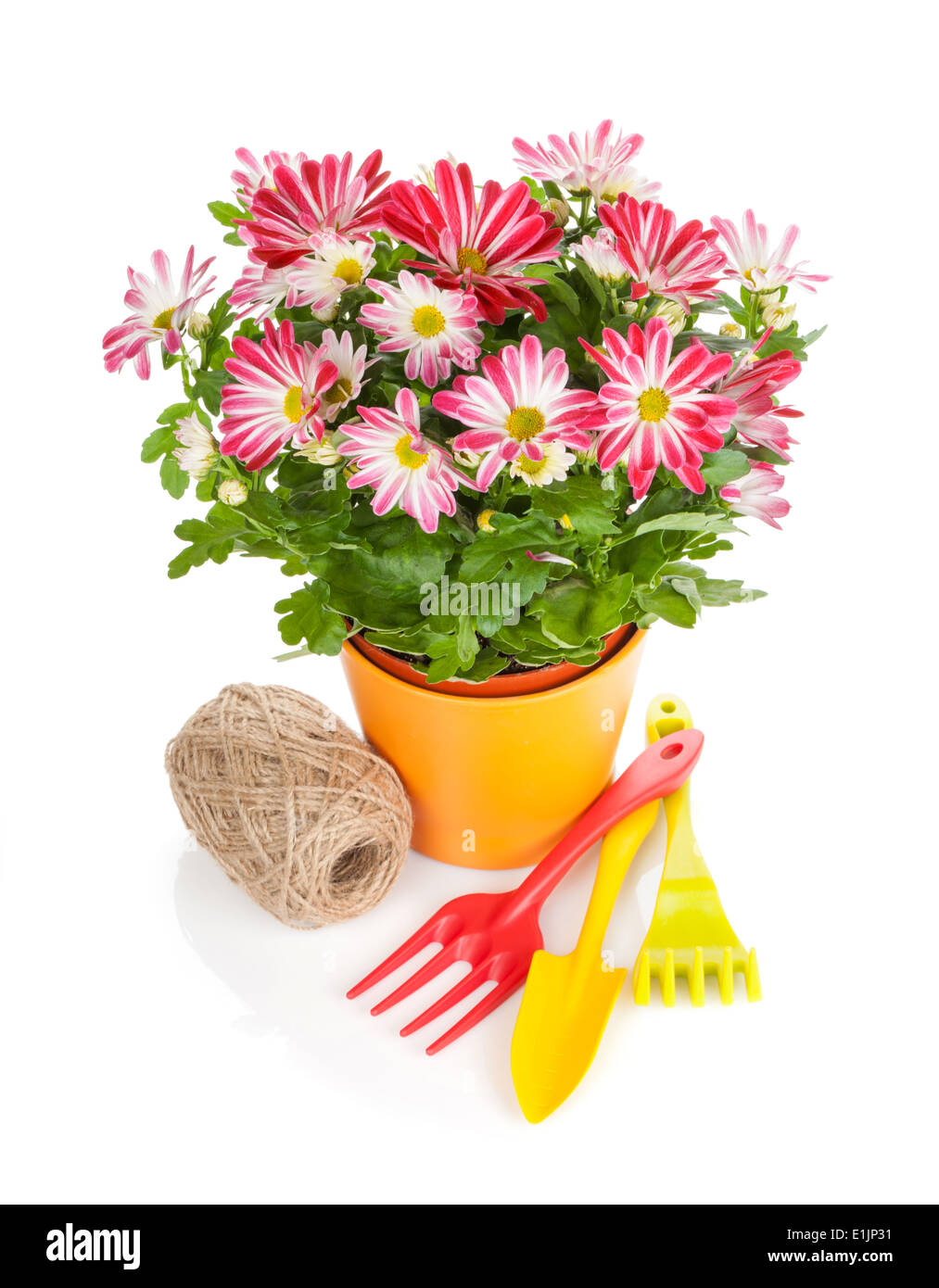 Gloves flower pot soil Cut Out Stock Images & Pictures - Alamy