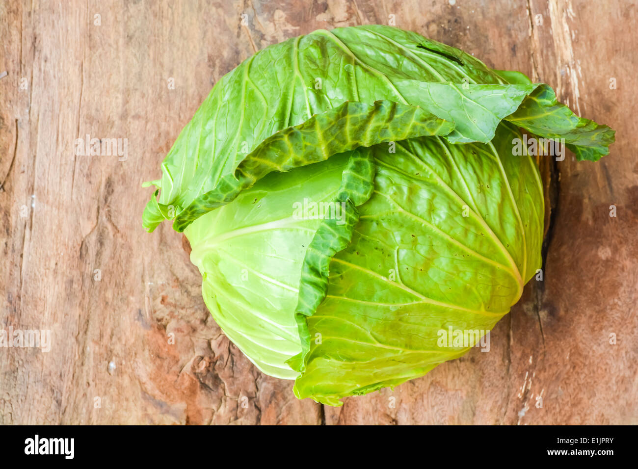 Old cabbage hi-res stock photography and images - Alamy