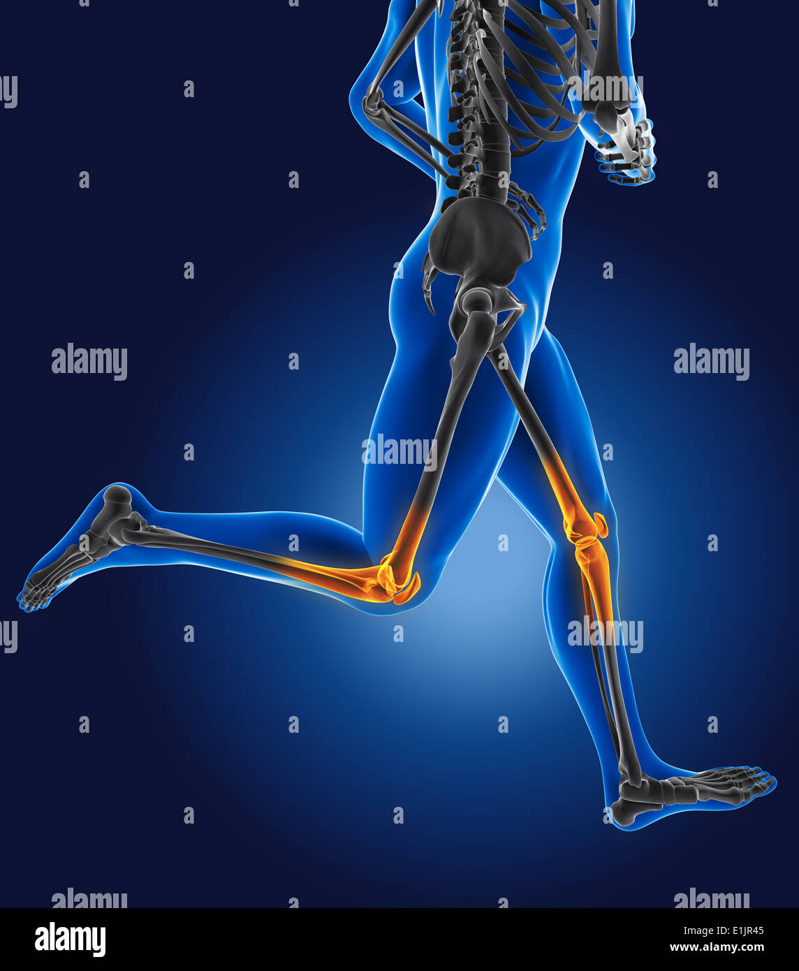 3D running medical man with skeleton knees highlighted Stock Photo - Alamy