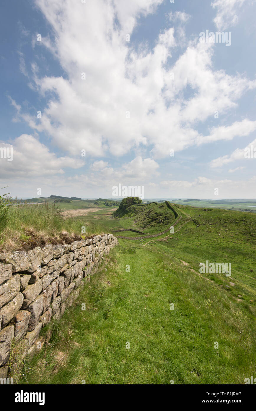 A shot of Hadrian's wall in England. Remains of the frontier wall built ...