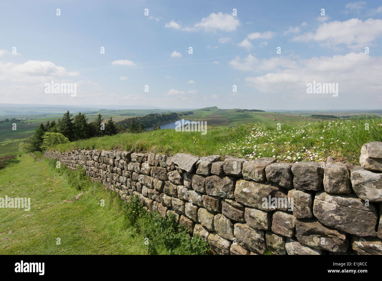 Roman army shield wall hi-res stock photography and images - Alamy