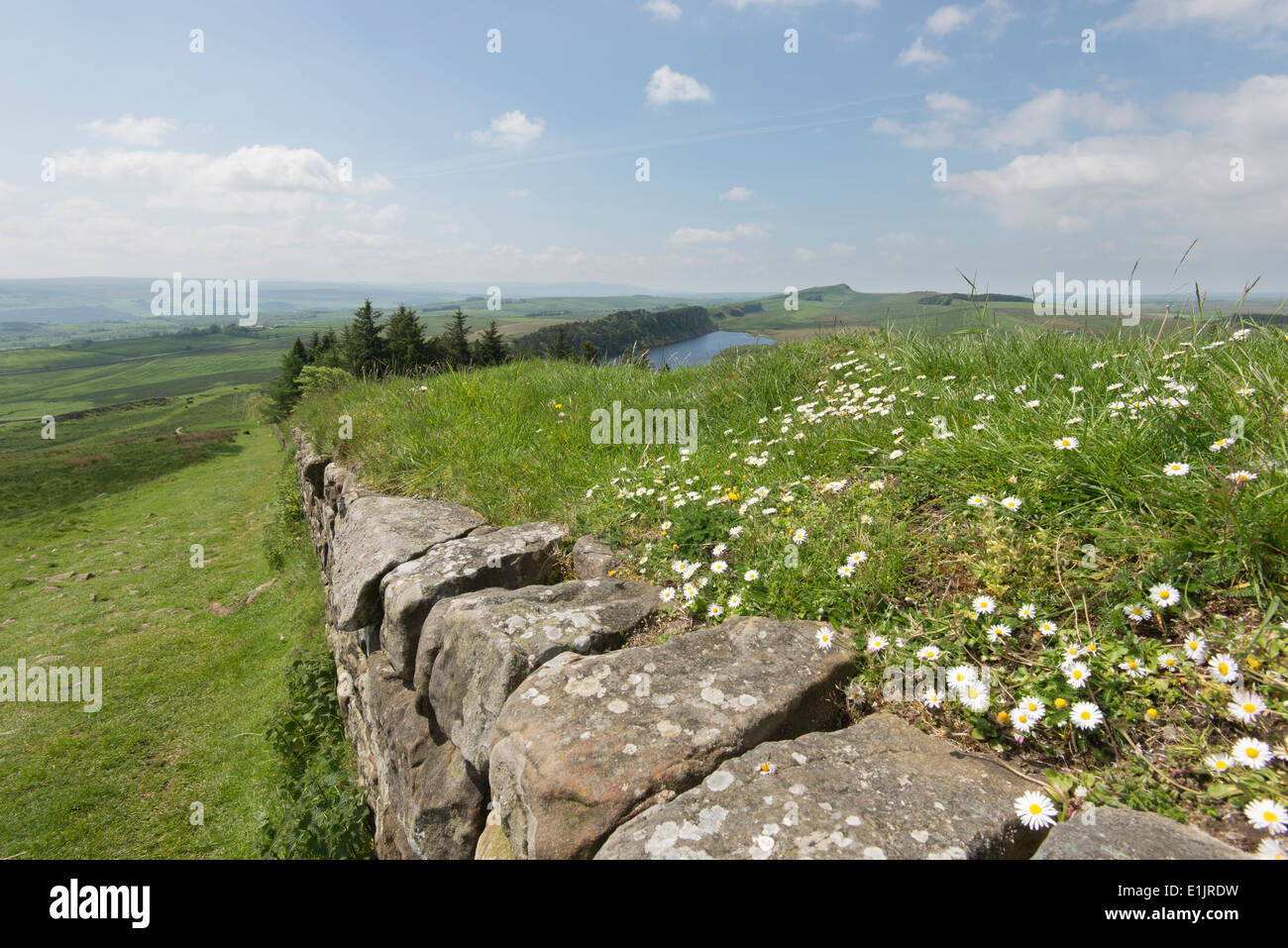 Hadrians wall country line hi-res stock photography and images - Alamy