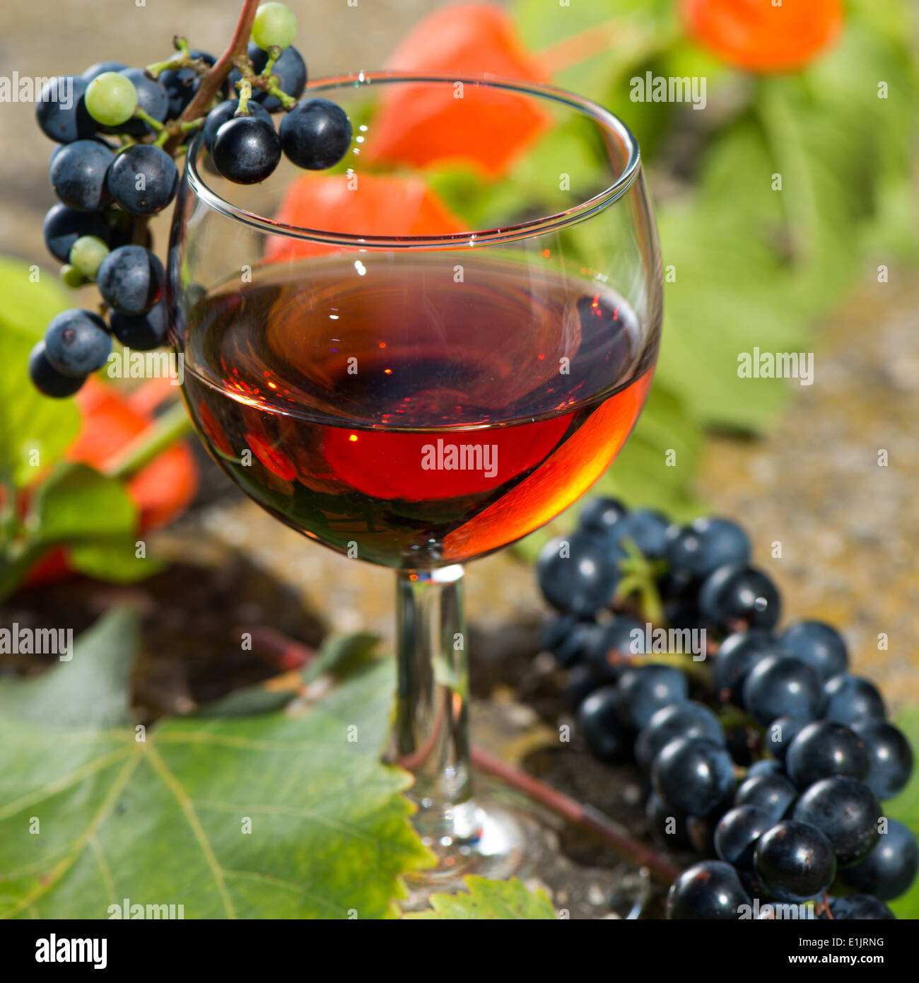 Rosé wine with fresh grapes Stock Photo - Alamy