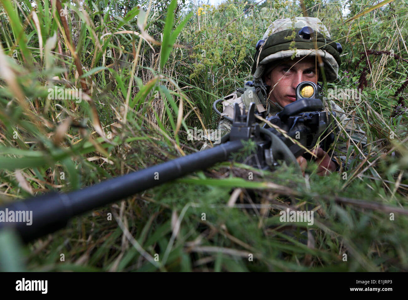 31st battalion infantry hi-res stock photography and images - Alamy
