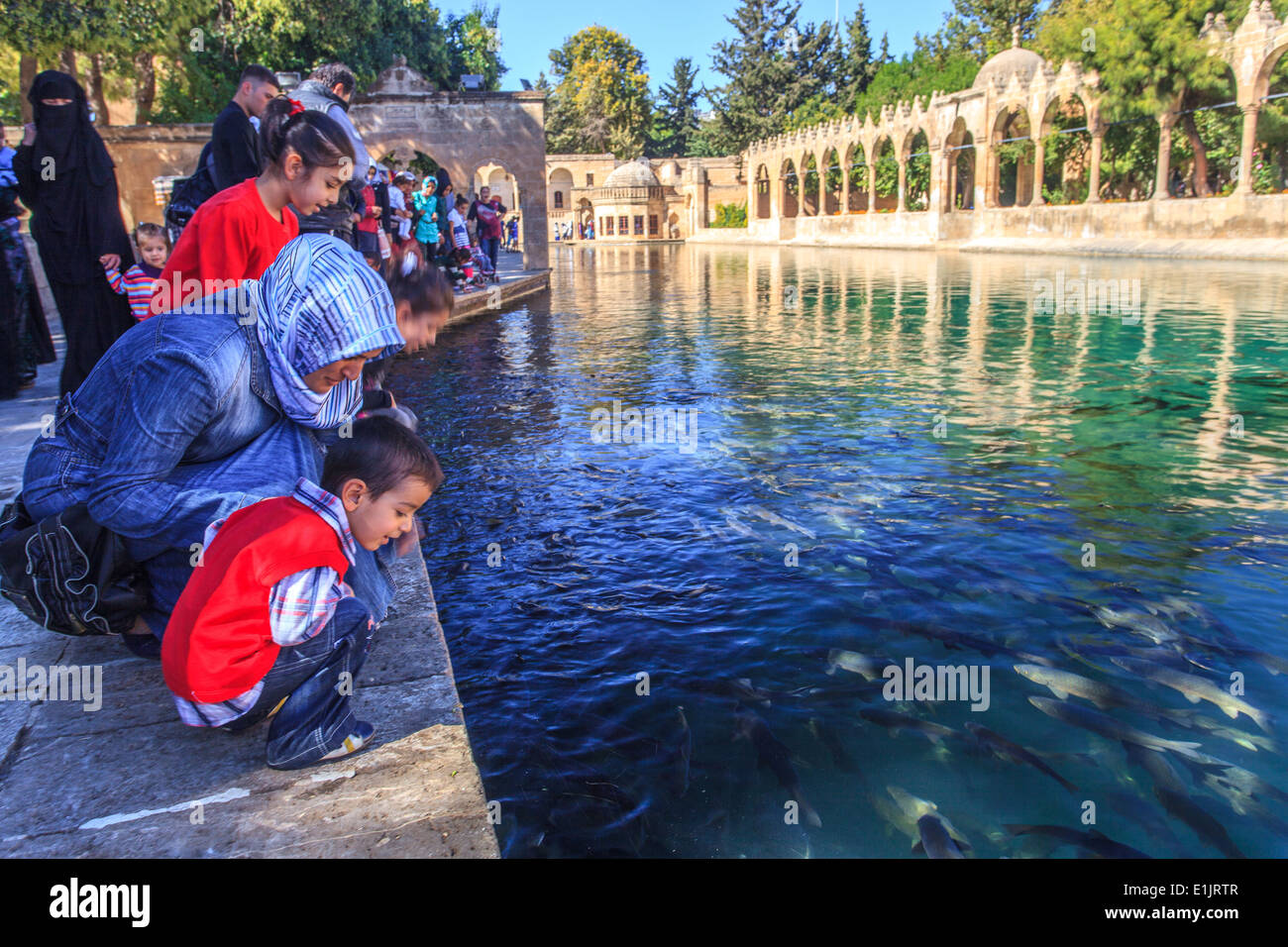 Pool of sacred fish Stock Photo - Alamy