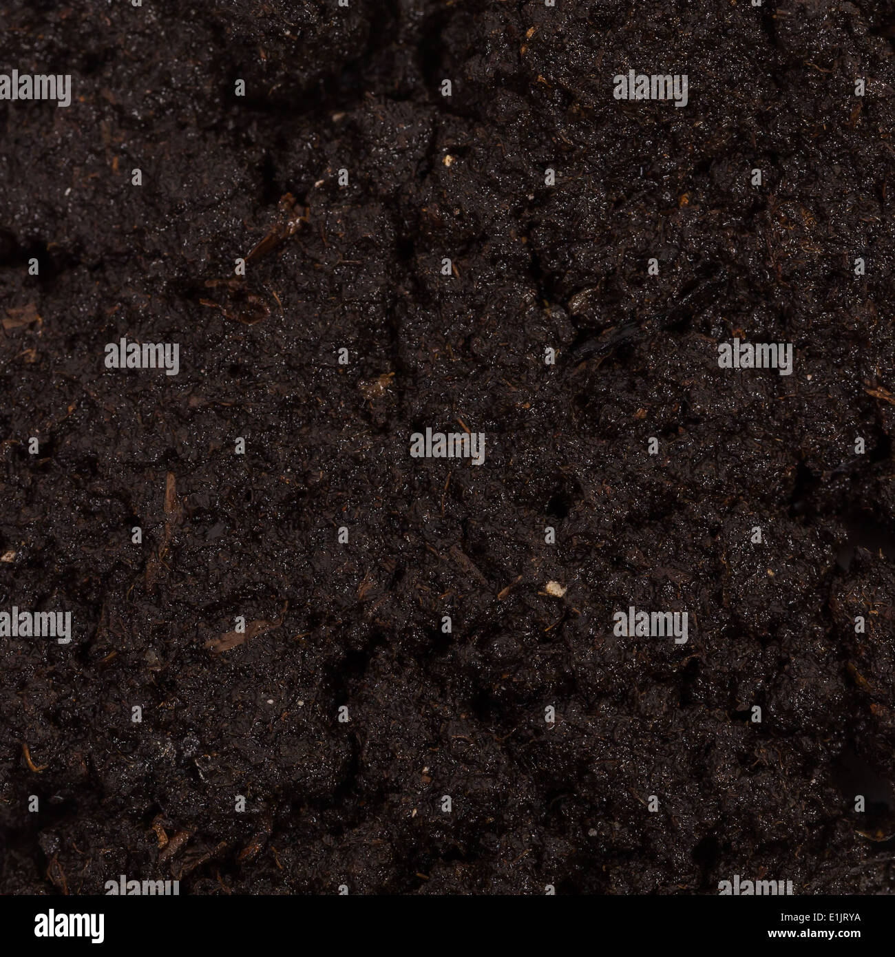 Soil beds hi-res stock photography and images - Alamy