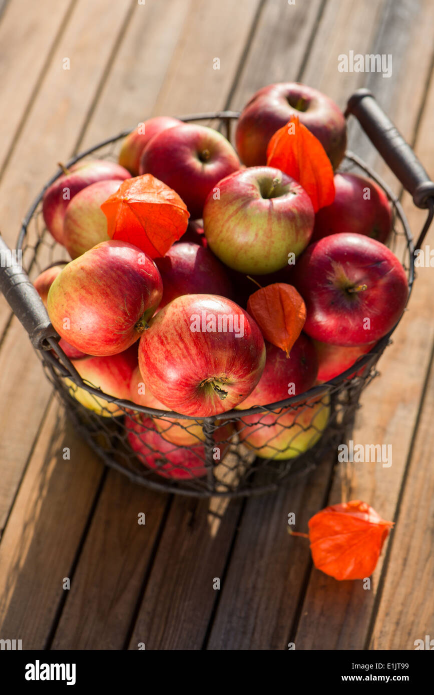 Punnet of apples hi-res stock photography and images - Alamy