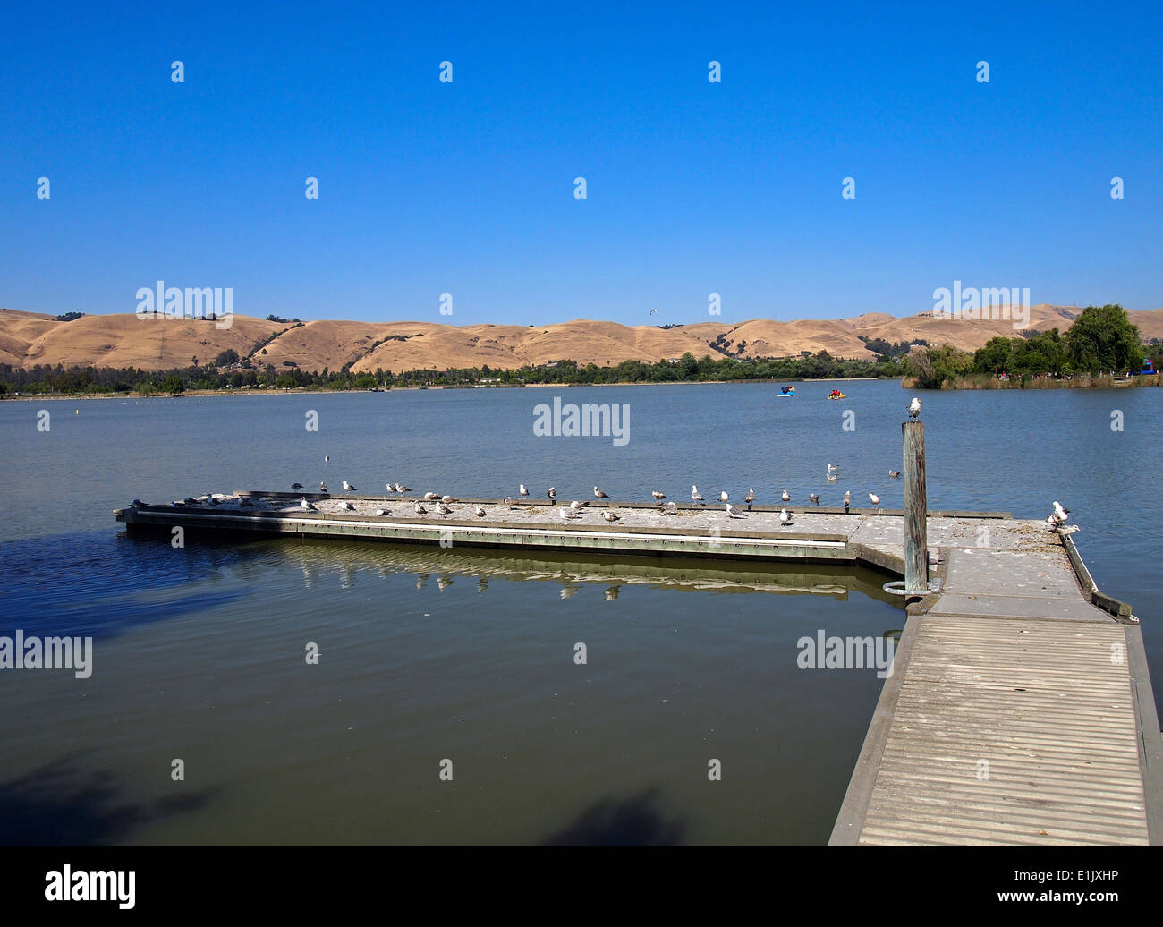 Lake Elizabeth Fremont California Stock Photo - Alamy