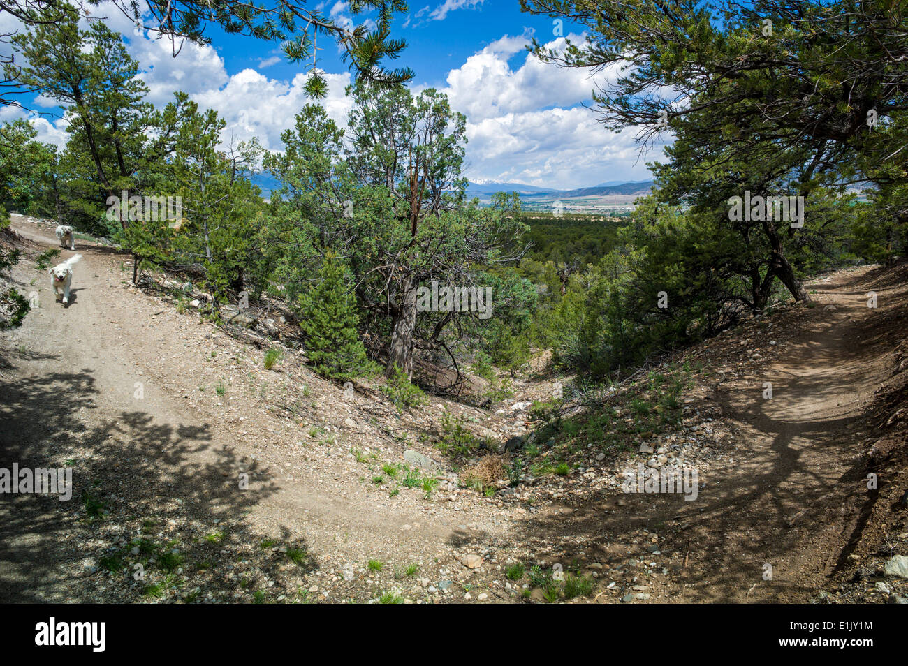 The Little Rainbow Trail, just above the small mountain town of Salida ...