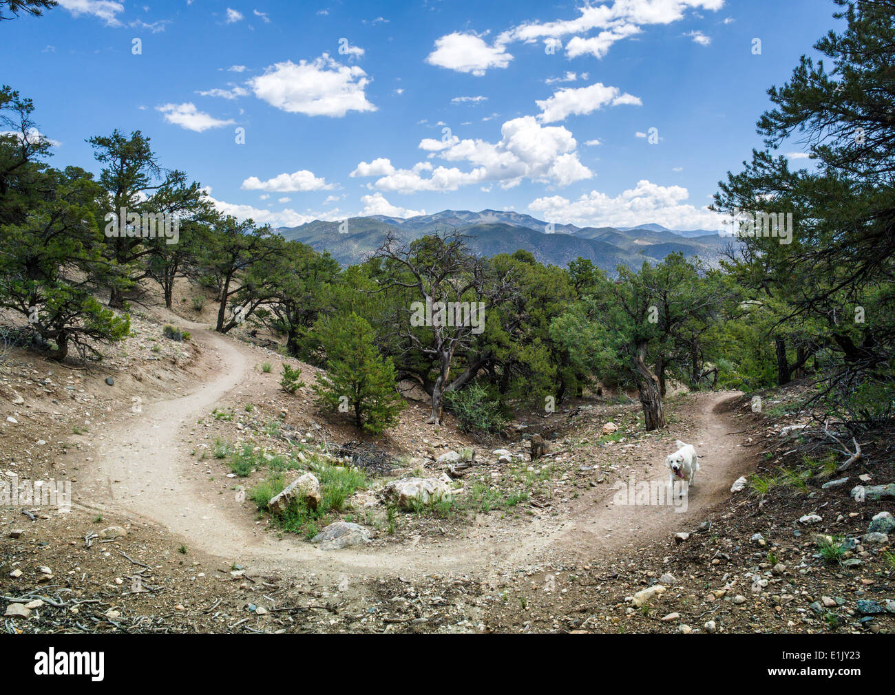 The Little Rainbow Trail, just above the small mountain town of Salida ...