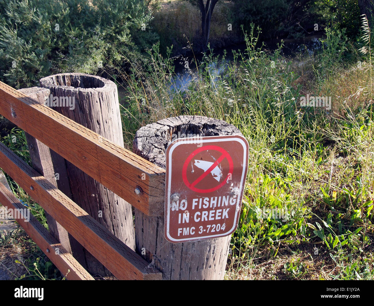 No Fishing in Creek sign, Central Park, Fremont California Stock Photo ...