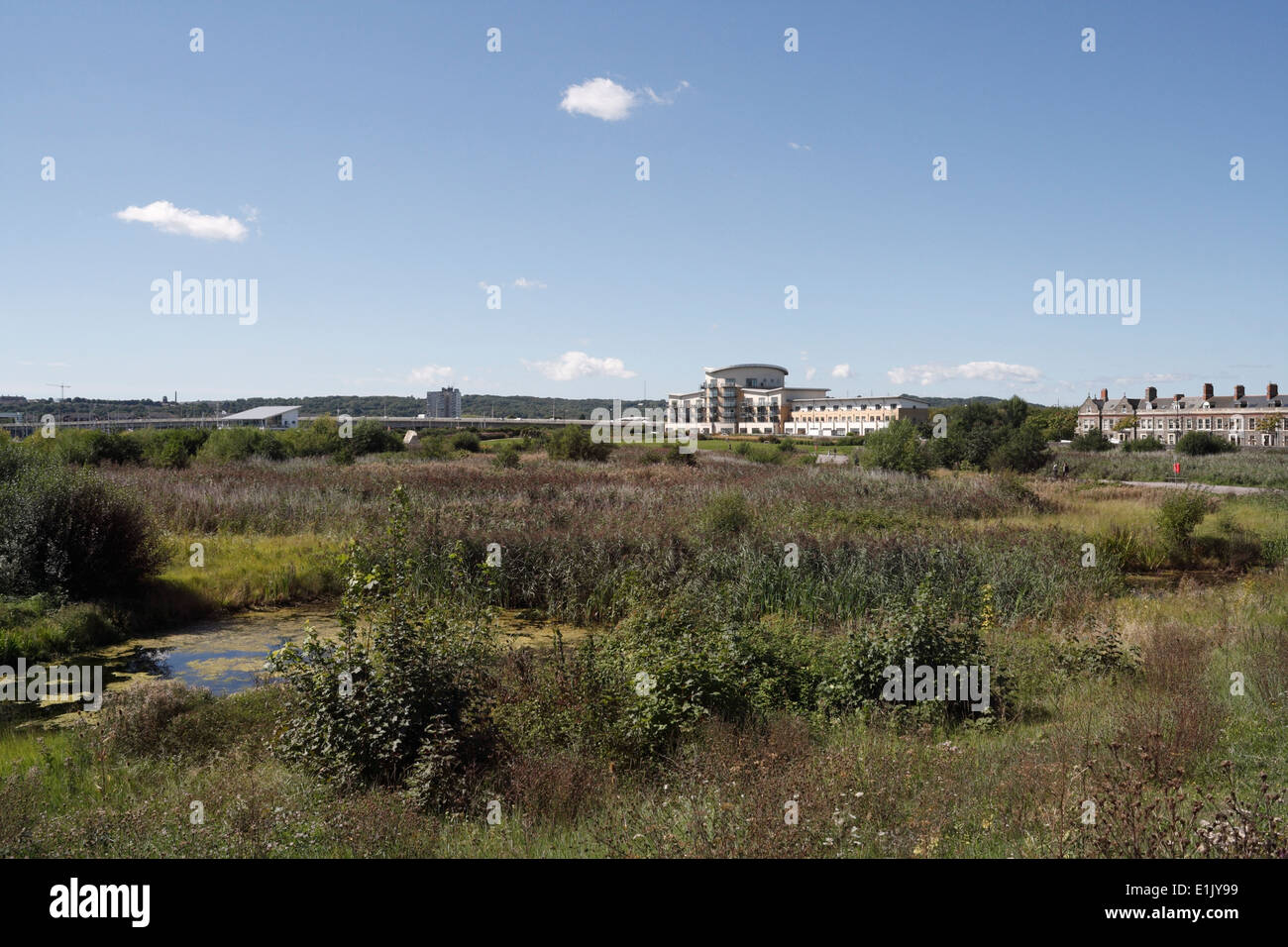 Cardiff Bay Wetlands nature reserve Wales UK, Urban Biodiversity ...