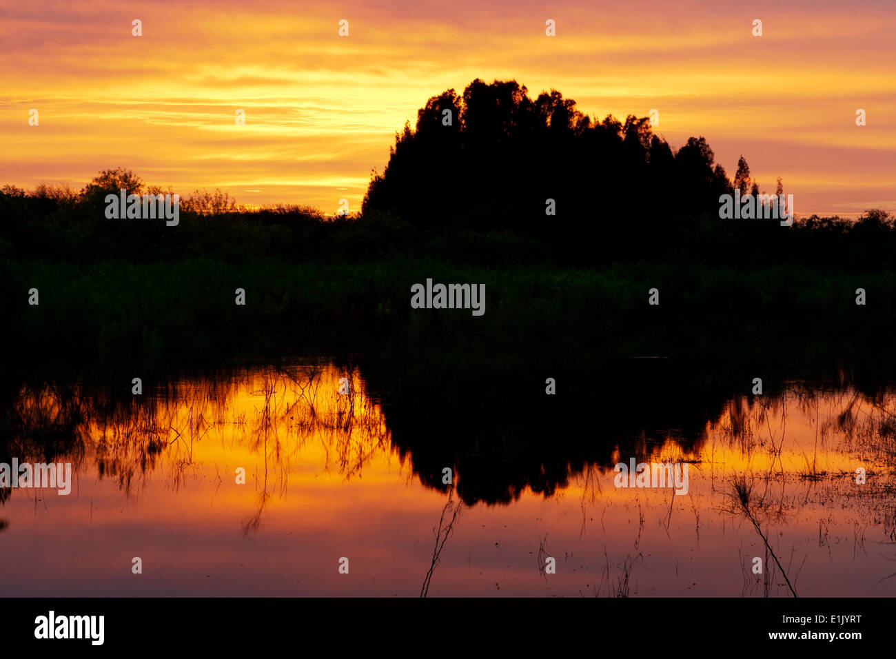 Lake (Resaca) Sunset at Camp Lula Sams - Brownsville, Texas USA Stock ...