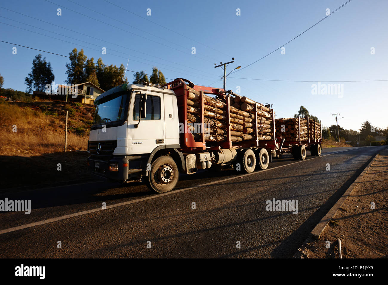 lorry with log wood cargo on coastal road los pellines chile Stock ...