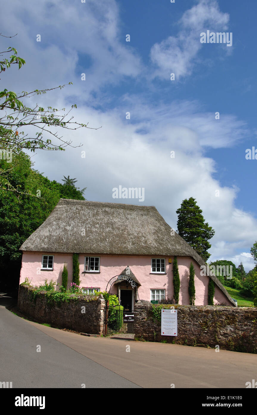Cockington devon hi-res stock photography and images - Alamy