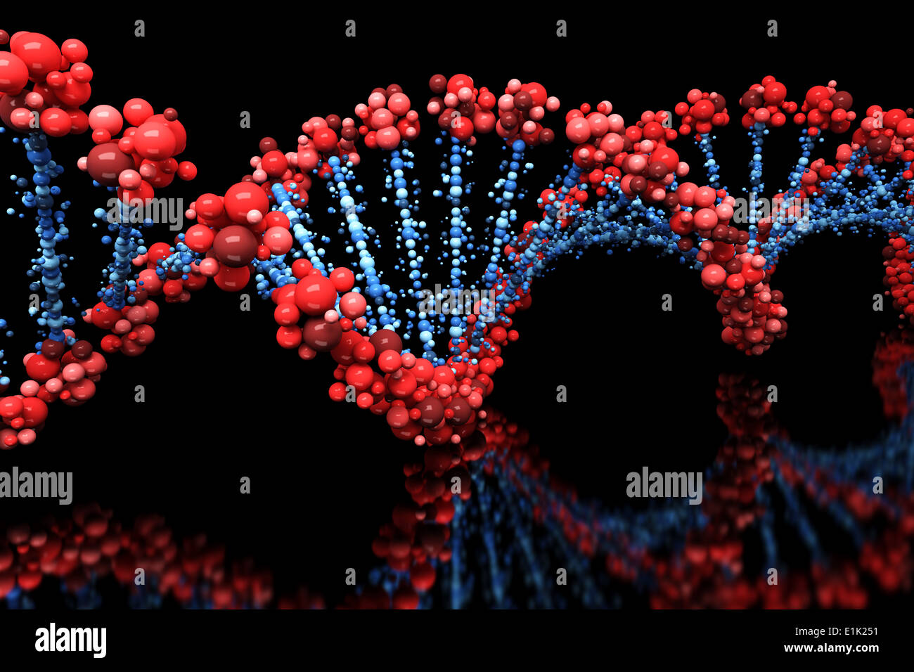 Model dna molecule dna sequencing hi-res stock photography and images ...