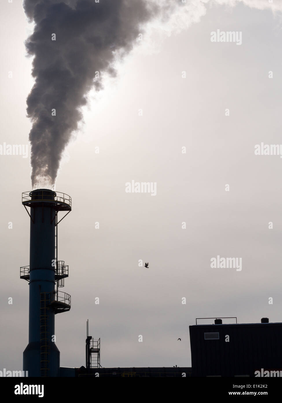 Smoke, Steam, Birds and Industry. Dark shadowed smoke and steam stream ...