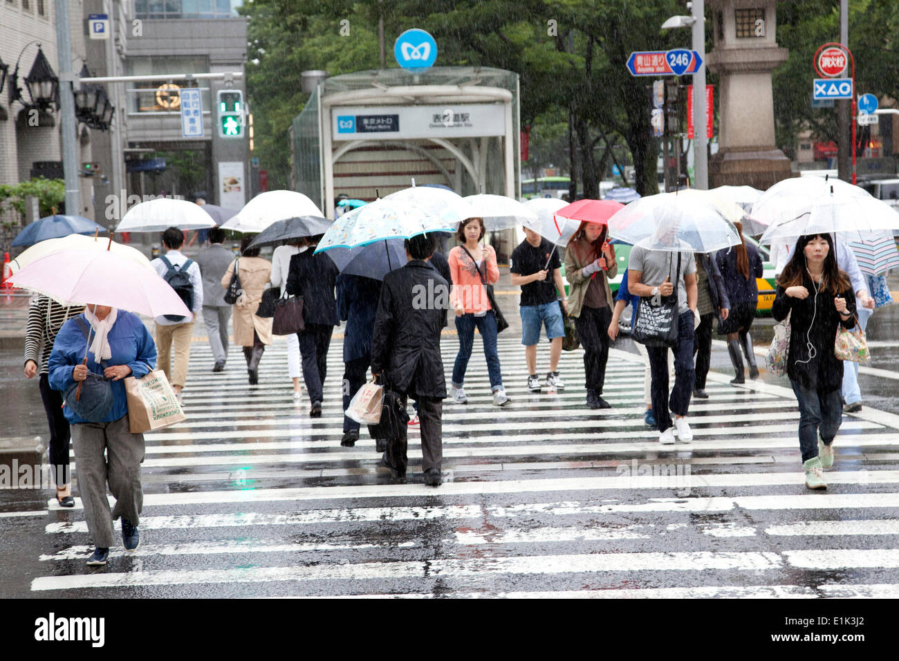 Tsuyu season hi-res stock photography and images - Alamy